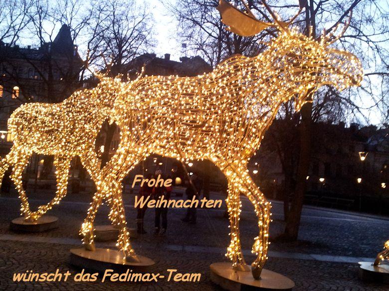 Pferdedecken, Regendecke, Fliegendecke, Ekzemerdecke günstig