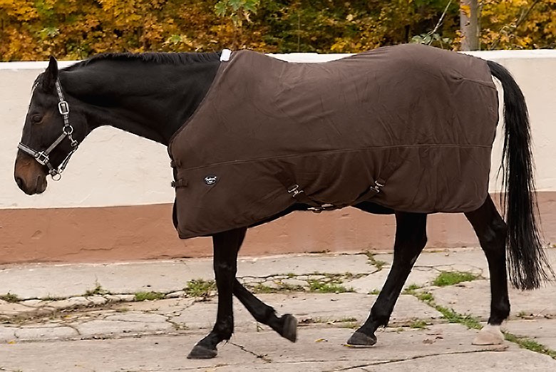 Abschwitzdecke fedimax Ceramic Energy Fleece braun Infrarot-Textilien ...