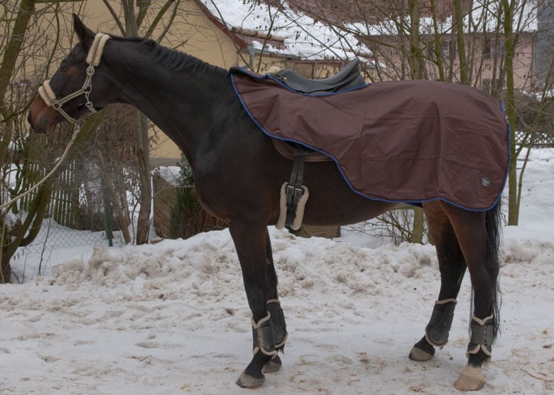 Regendecke Nierendecke Fedimax ® wasserdicht auch Western 135 145 155 ...