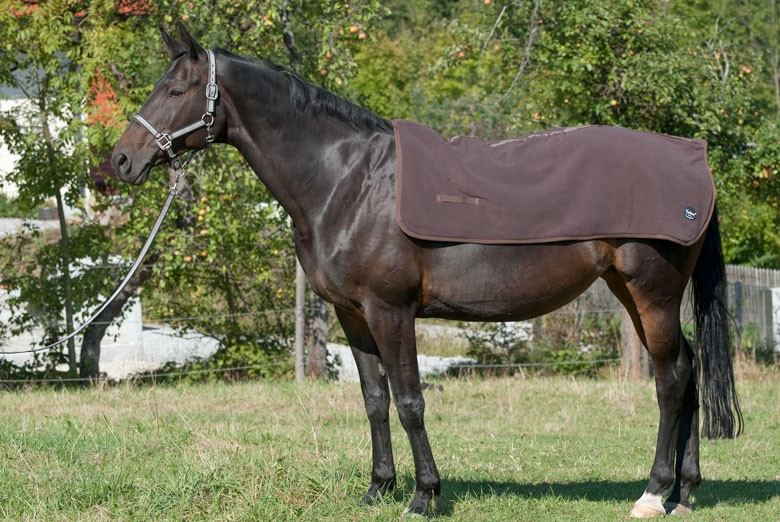 fedimax ® Ceramic Energy Rückenwärmer 130 x 115 braun Infrarot ...